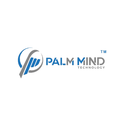 Build Your Own SaaS | Palm Mind - AI-Powered SaaS Development